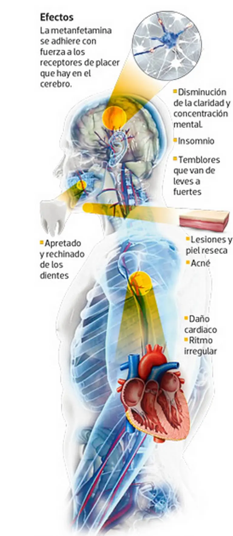 Por Qué El Cristal No Me Hace Efecto: Causas Y Soluciones | Cristalizando