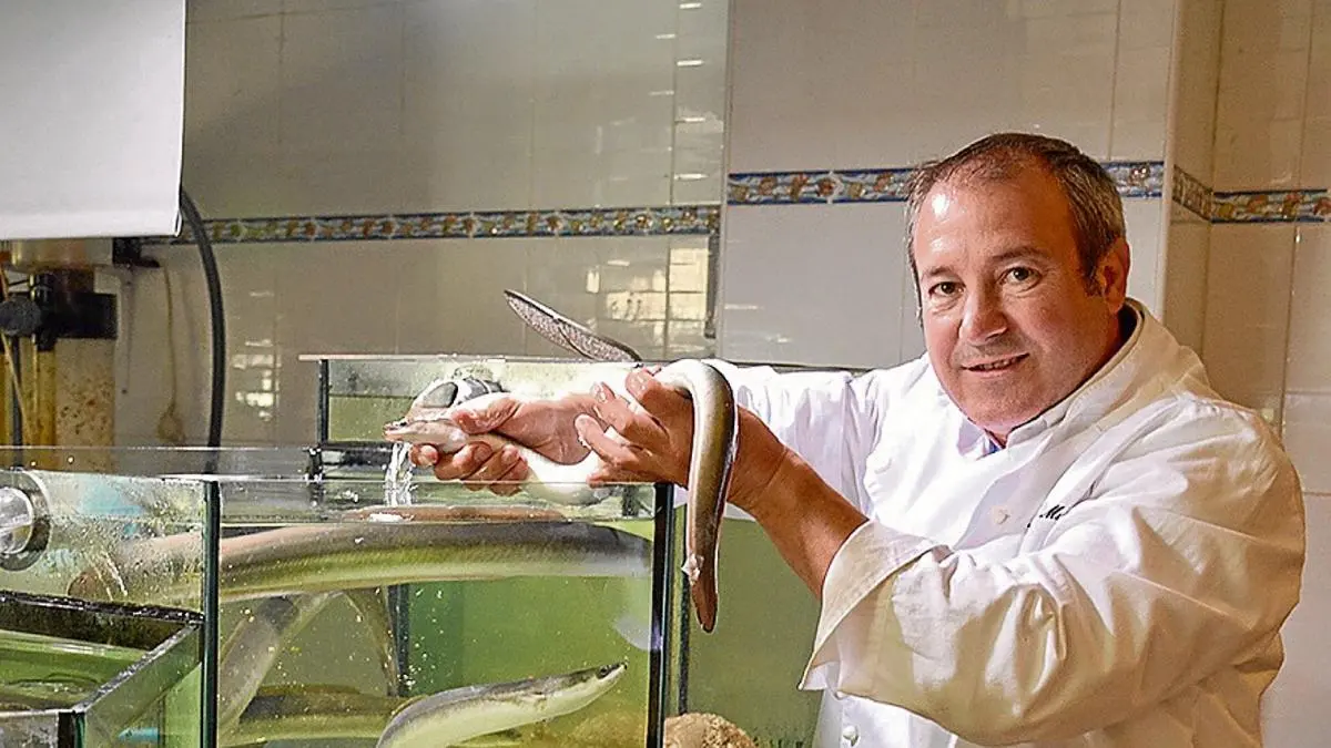 Anguila De Cristal: Un Manjar Escaso Y Costoso | Cristalizando